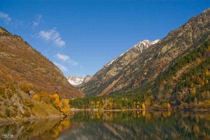 Cómo enmarcar títulos universitarios: Mejores prácticas para proteger y ...